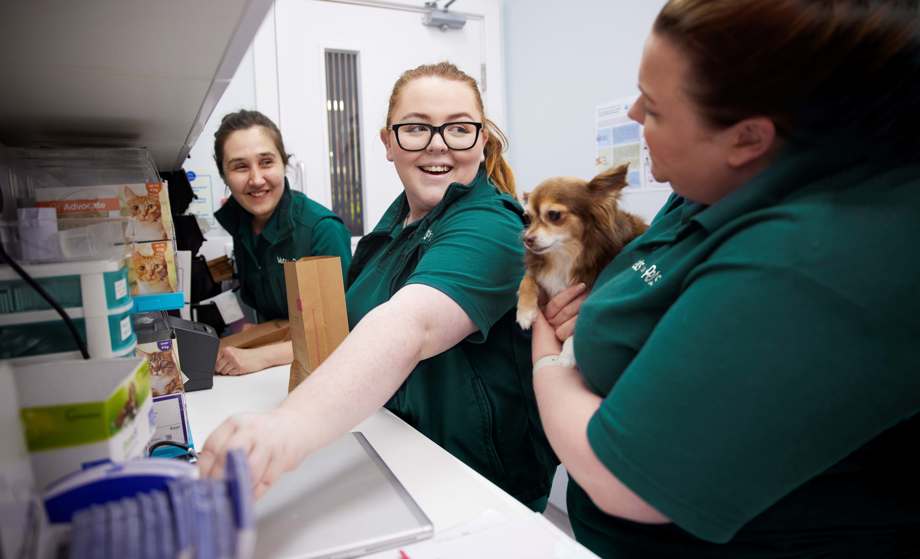 Vets for Pets Careers | Putting Your Pet First | Experts In Vet Care