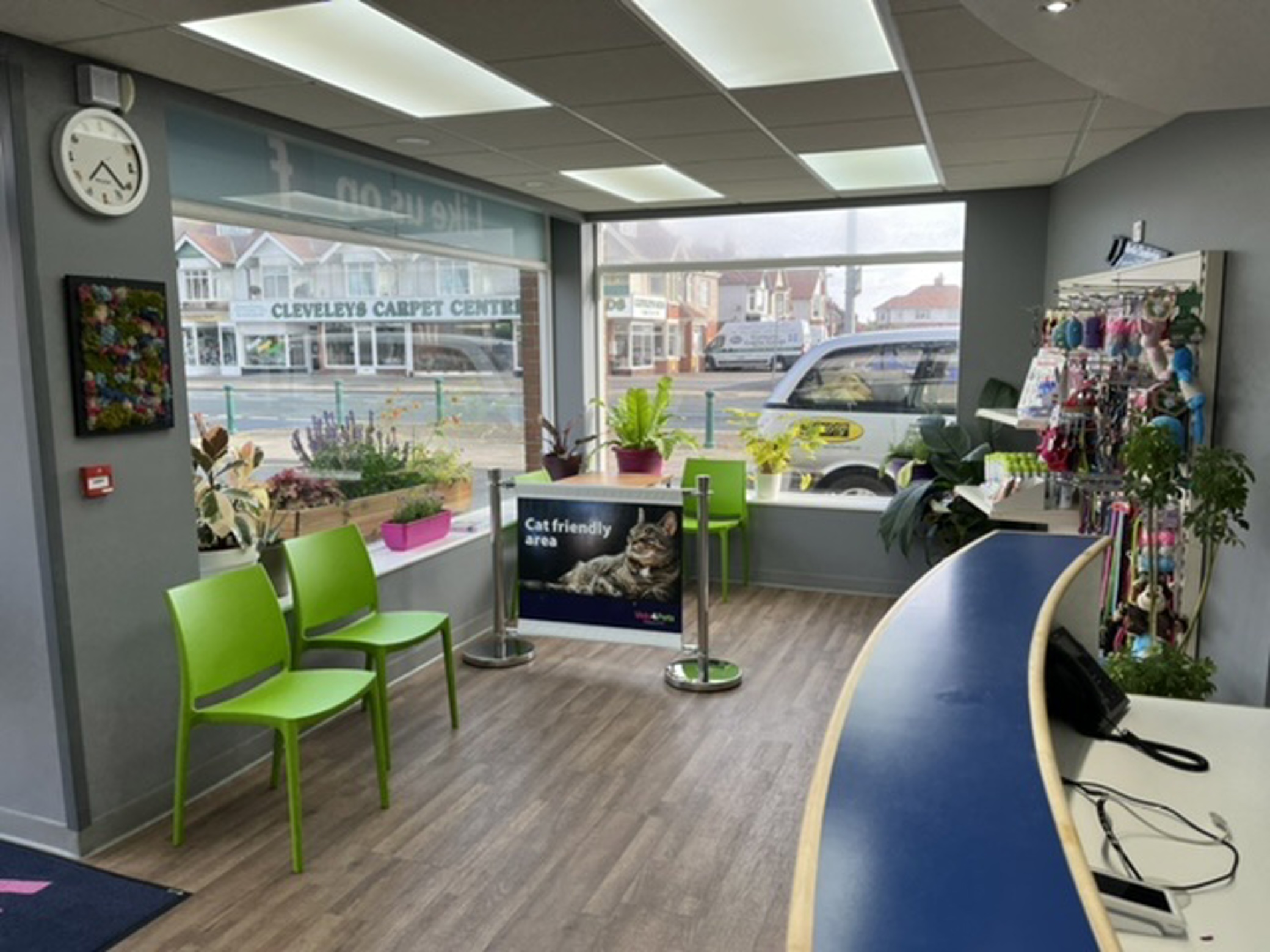 Bee Friendly Practice Blog