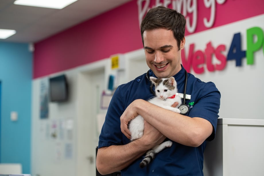 Graduate Programme | Veterinary Careers | Vets4Pets