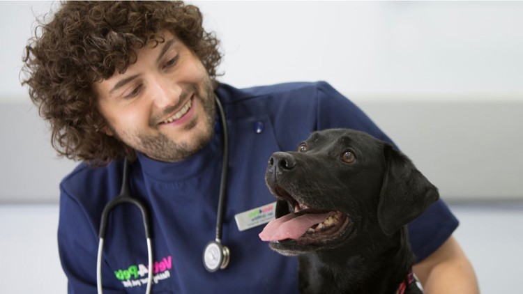 Vets4Pets Careers | Putting Your Pet First | Experts In Vet Care
