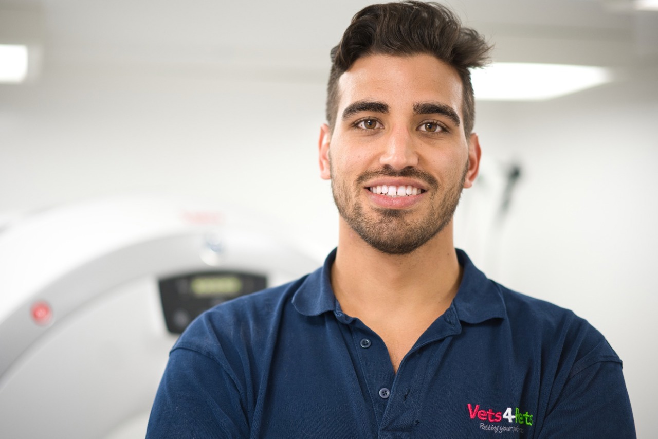 Graduate Programme | Veterinary Careers | Vets4Pets