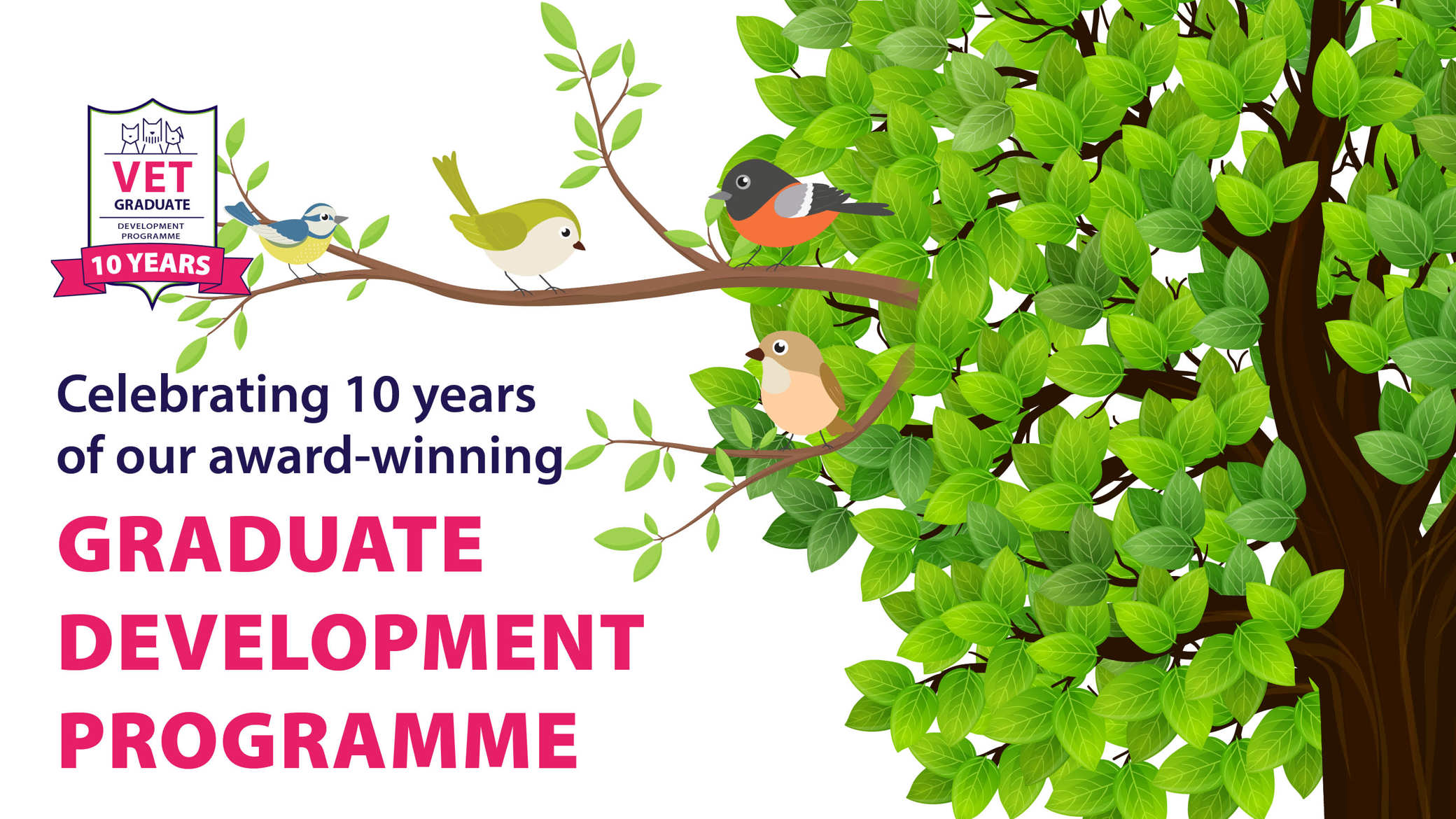 Graduate Programme | Veterinary Careers | Vets4Pets