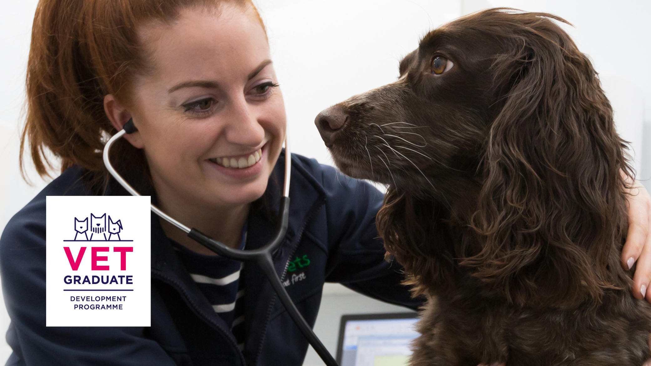 Graduate Programme | Veterinary Careers | Vets4Pets