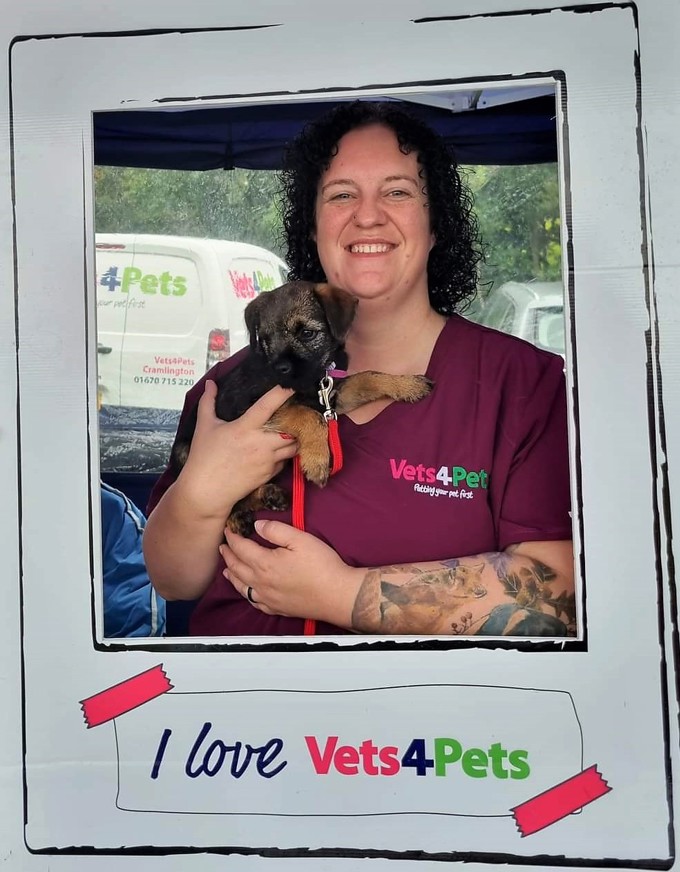 Blogs | Vets4Pets