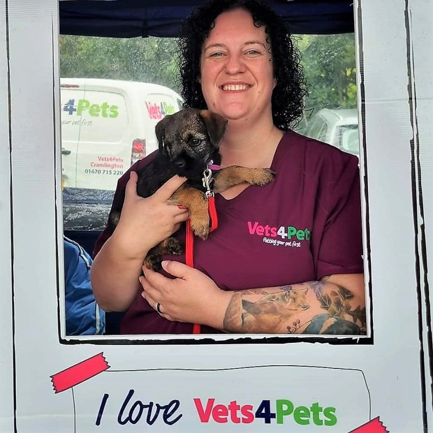 RVN Joint Venture Partner success | Blogs | Vets4Pets