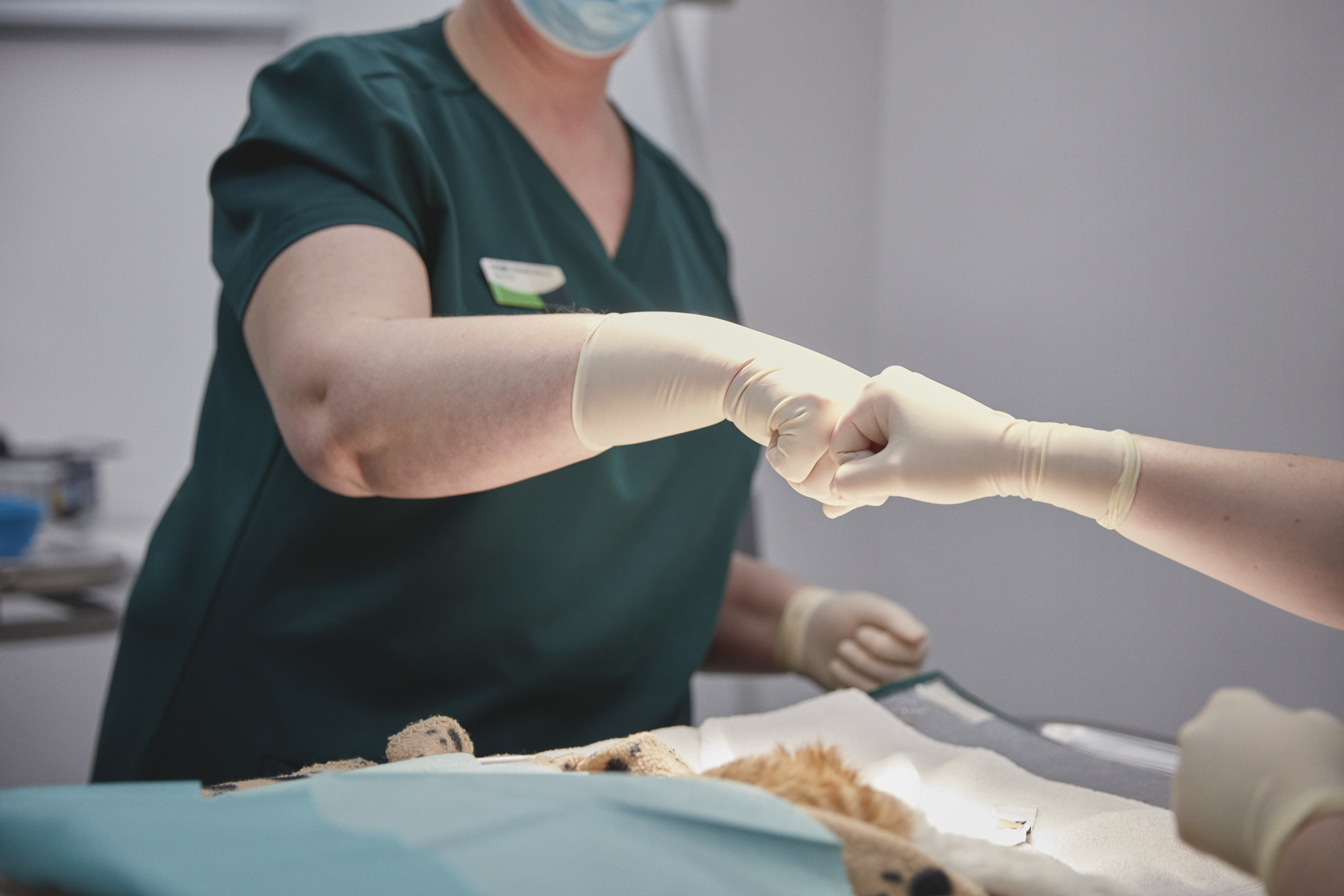 Locum opportunities across the Vets for Pets practice network